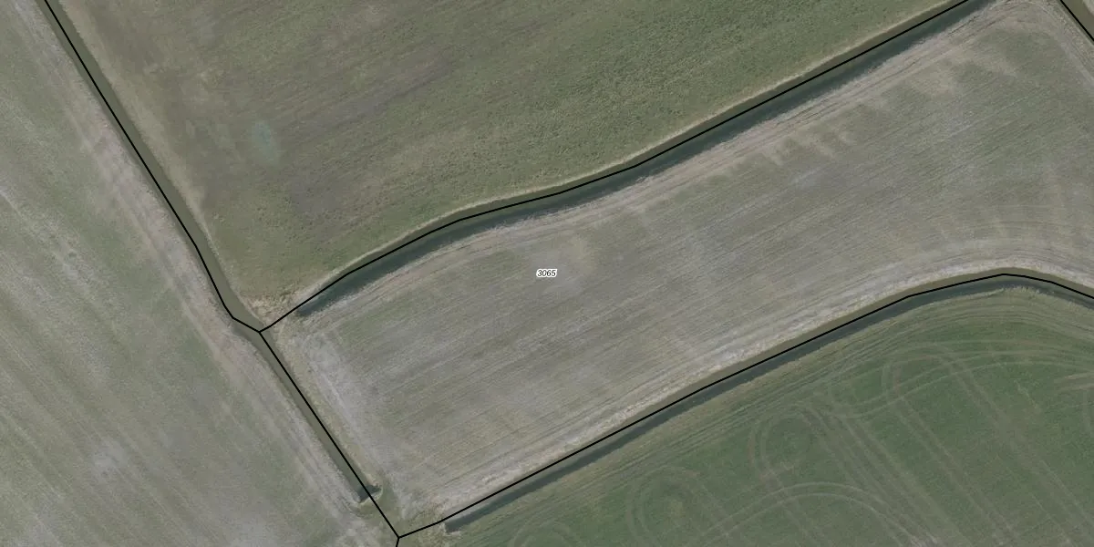 Perceel BAA02A3065 in Baard - KadastraleKaart.com