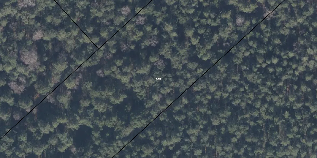 Perceel HAL00D303 in Hall - KadastraleKaart.com