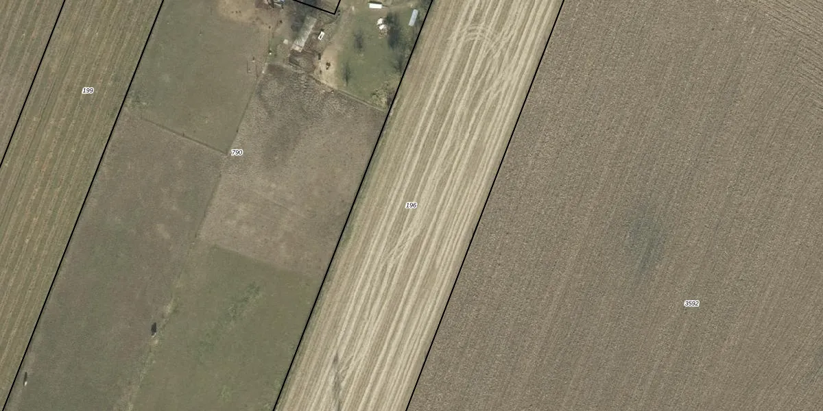 Perceel HDL01L196 in Hedel - KadastraleKaart.com