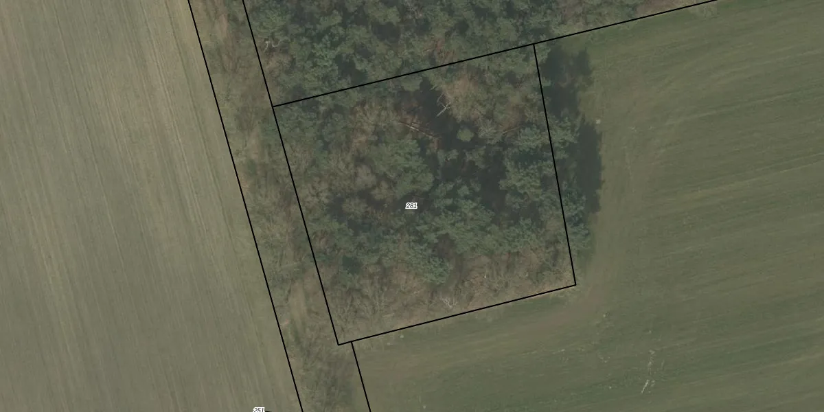 Perceel RSL00F281 in Reusel - KadastraleKaart.com