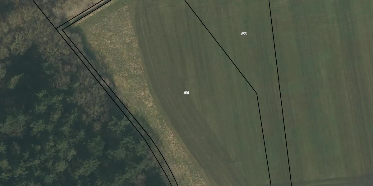 Perceel VLB00P161 in Vierlingsbeek - KadastraleKaart.com